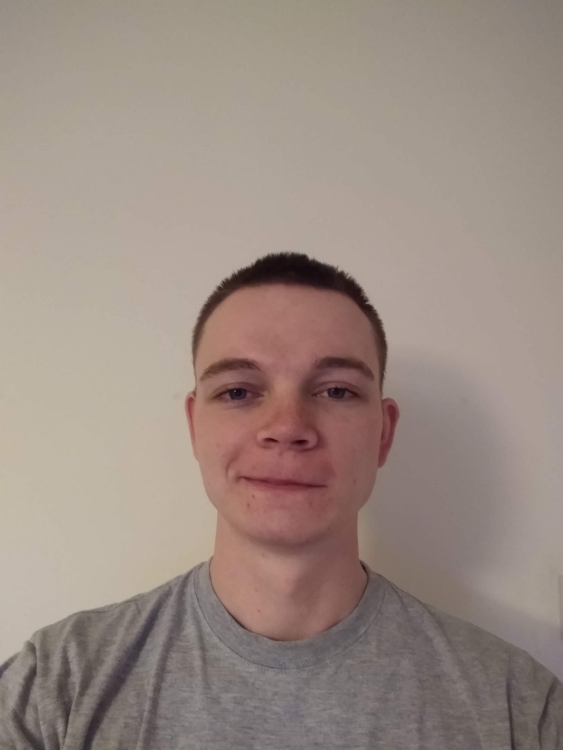 Radio-tagging earwigs to understand the breakdown in successful woolly ...